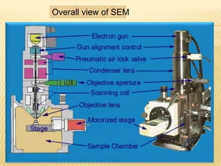 Scaning electron microscop | PPTX