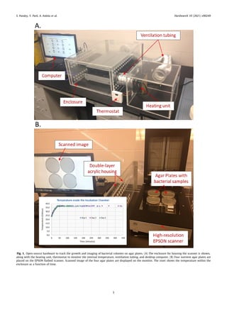 Bacteria Colony Counting and Tracking for Long times | PDF