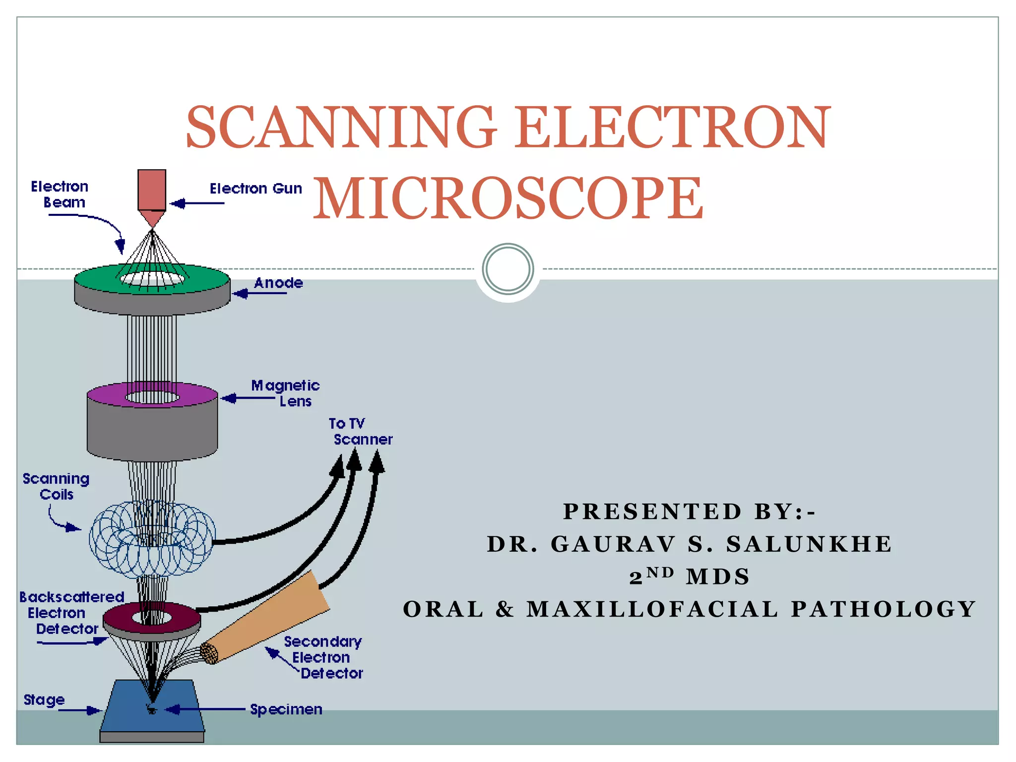 Scanning electon microscope. Dr. GAURAV SALUNKHE | PPTX