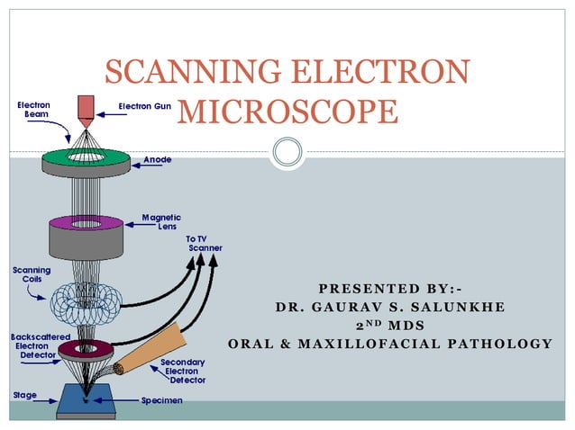 Scanning electon microscope. Dr. GAURAV SALUNKHE | PPTX | Chemistry ...