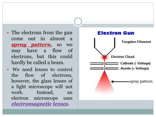 Scanning electon microscope. Dr. GAURAV SALUNKHE | PPTX
