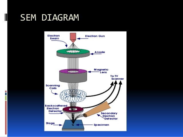 Scanning Electron Microscope Block Diagram