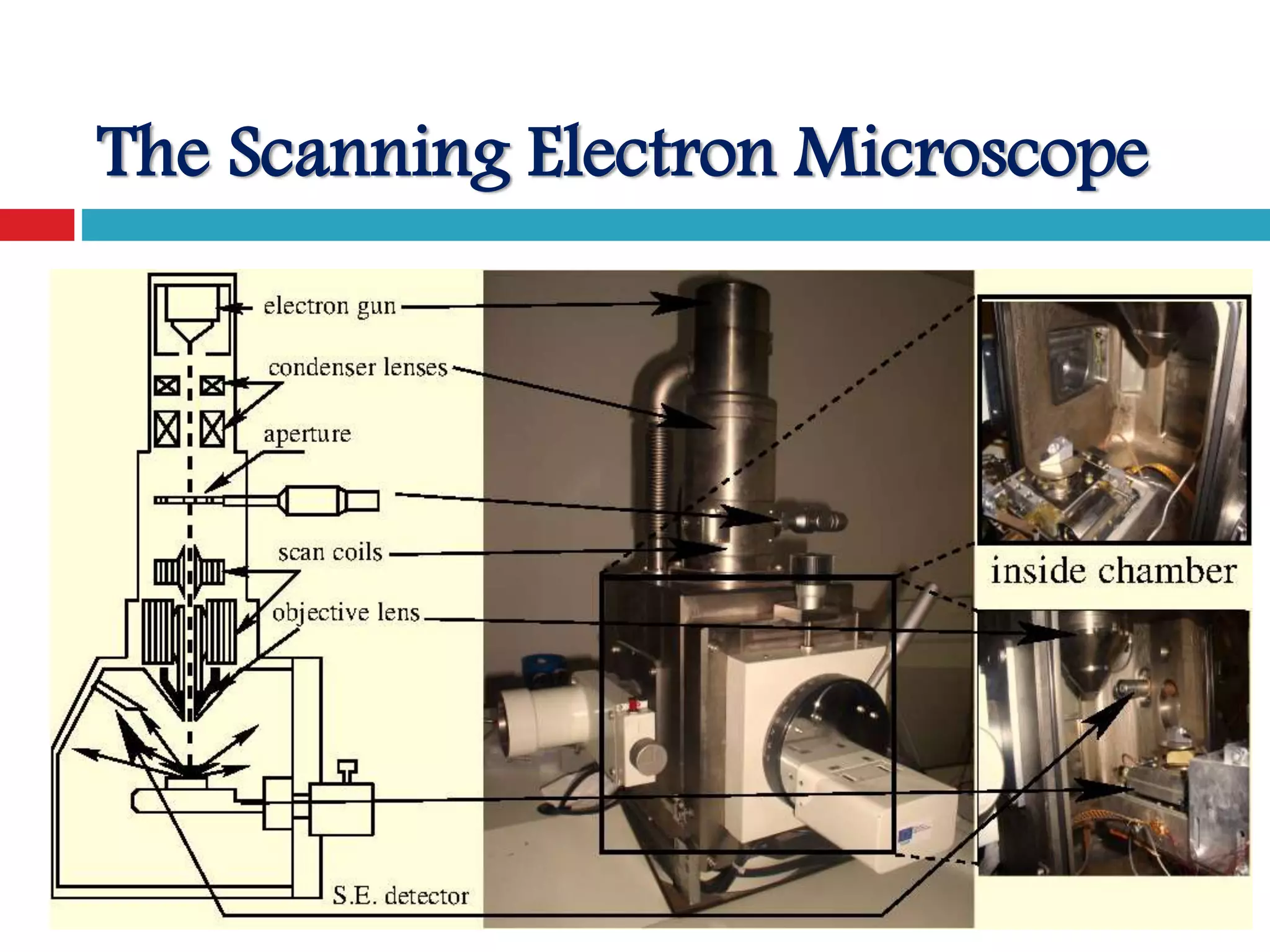 Scanning electron microscope | PPTX | Chemistry | Science