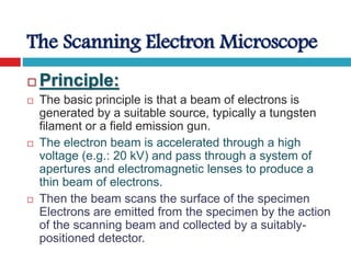 Scanning electron microscope | PPTX