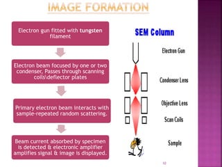 Scanning electron microscope | PPTX | Chemistry | Science
