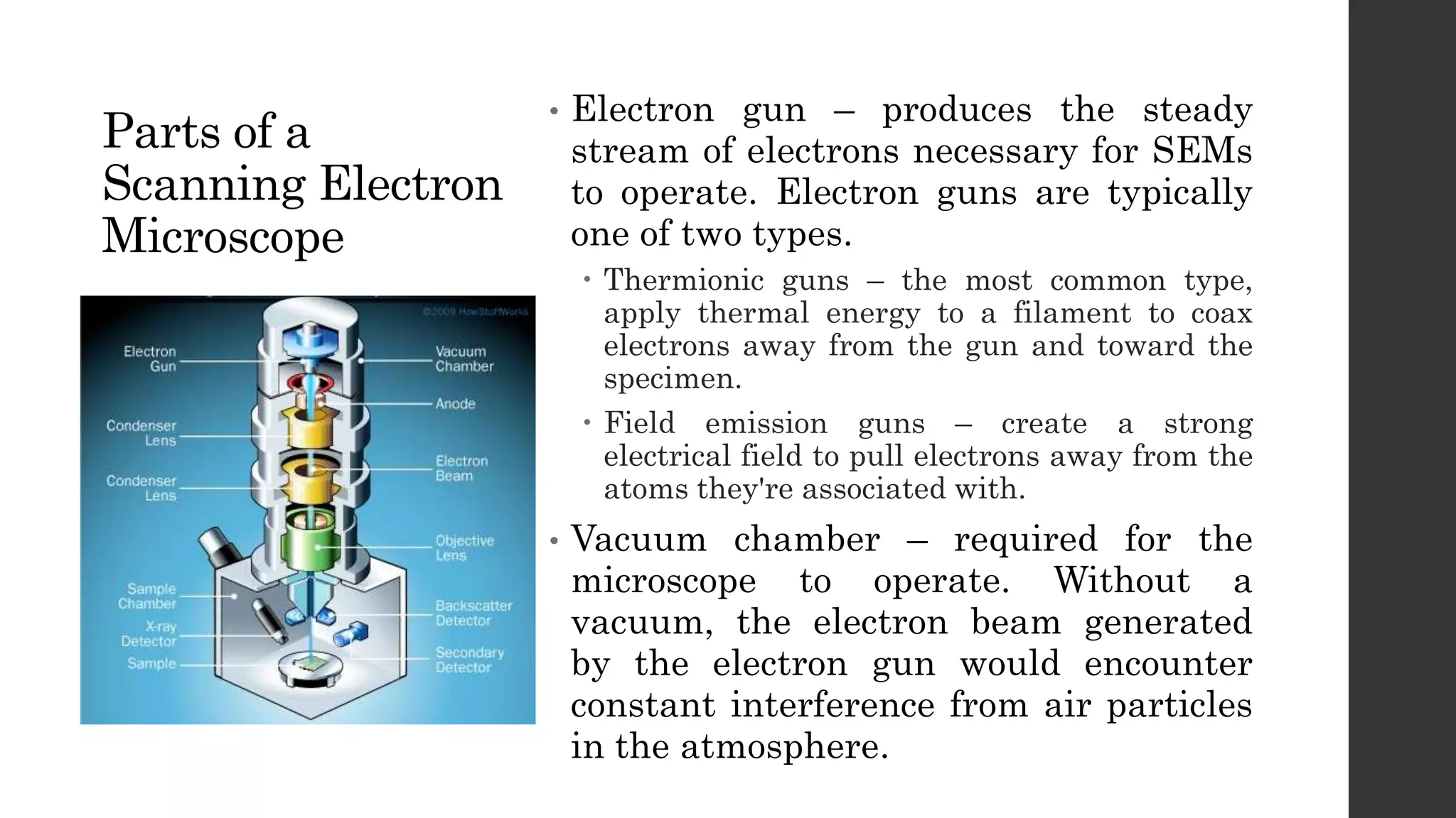 Scanning Electron Microscope | PPTX