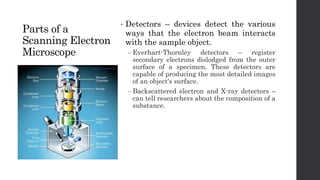 Scanning Electron Microscope | PPTX