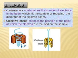 Scanning electron microscope | PPT