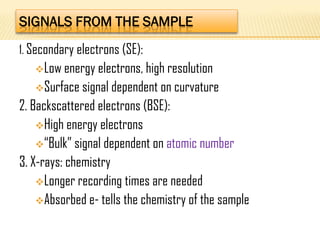 Scanning electron microscope | PDF