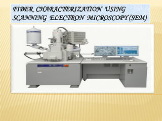 Scanning electron microscope | PPT