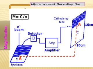 Scanning electron microscope | PPT