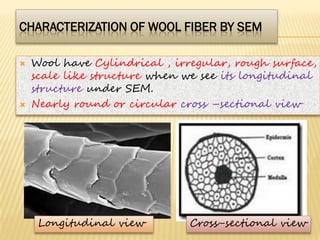 Scanning electron microscope | PPT