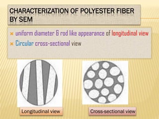 Scanning electron microscope | PDF