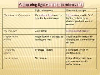 Scanning electron microscope | PPT