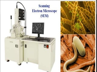 Scanning electron microscope | PPTX