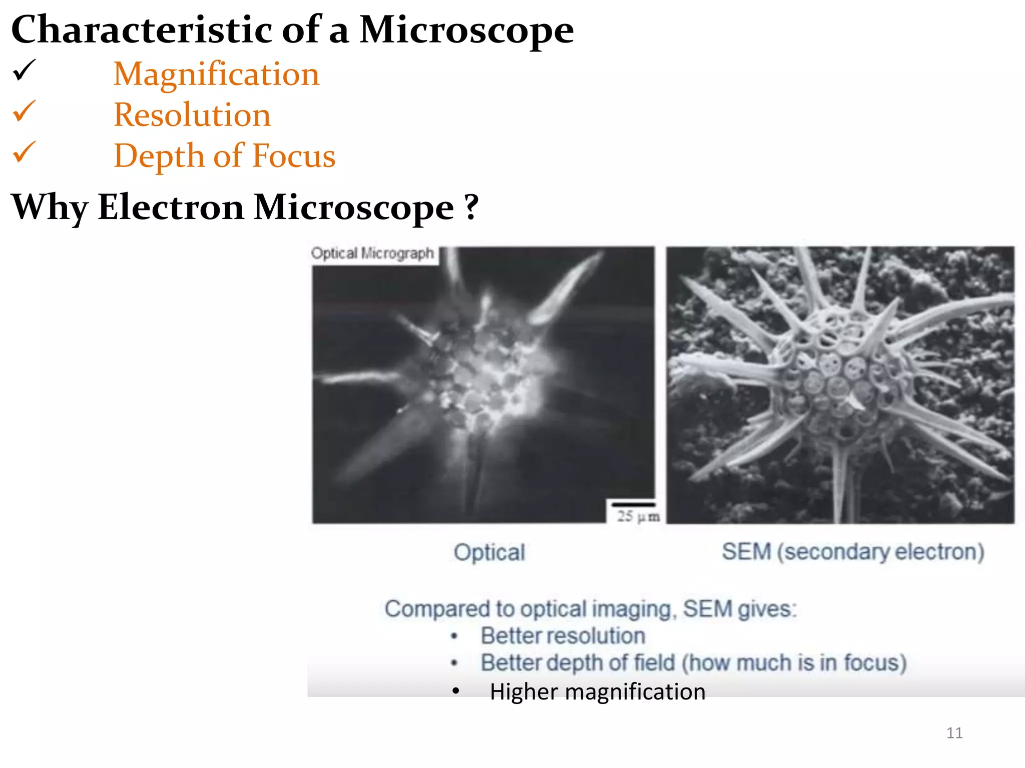 Scanning Electron Microscope.pptx | Chemistry | Science