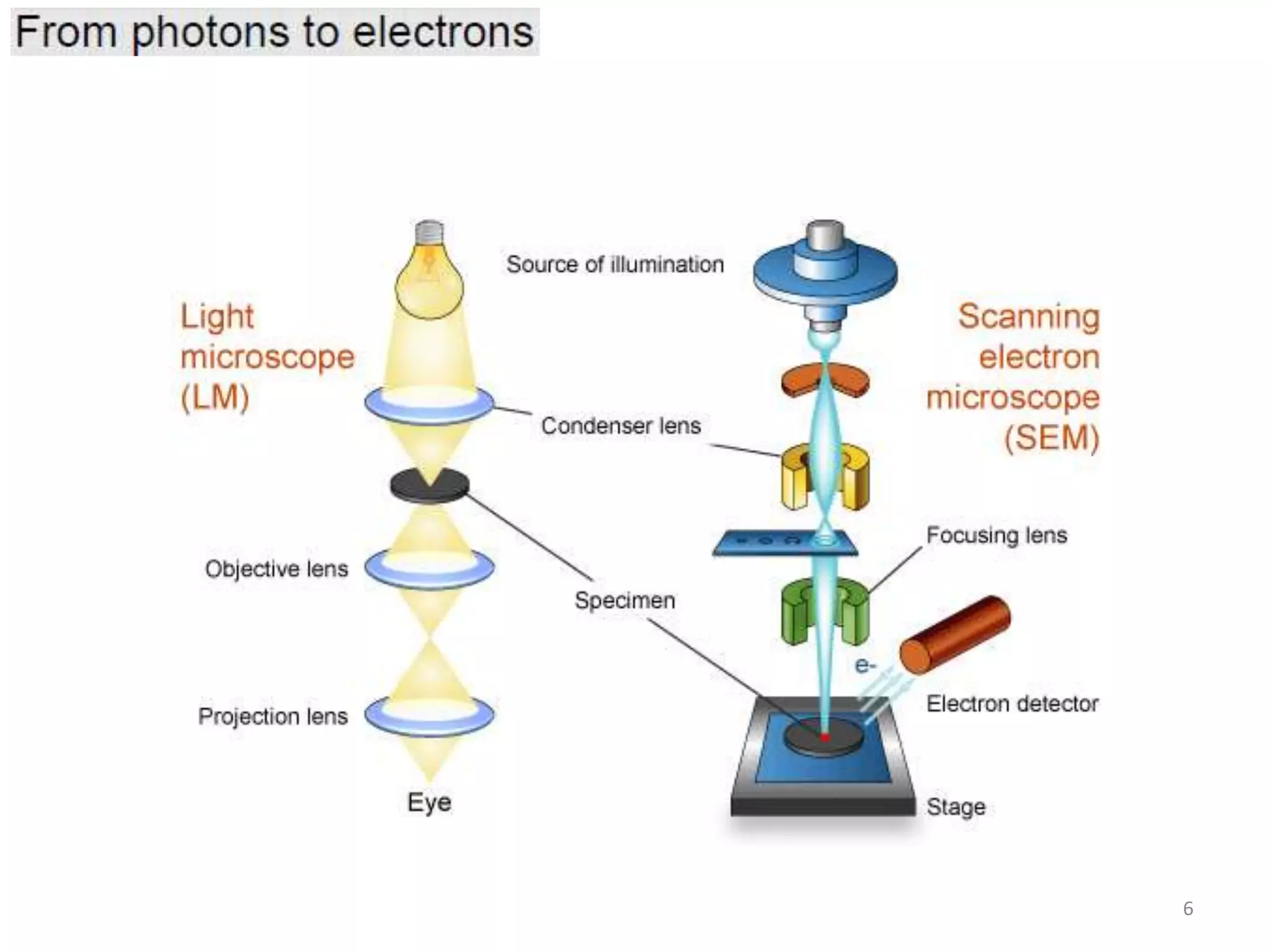 Scanning Electron Microscope.pptx | Chemistry | Science