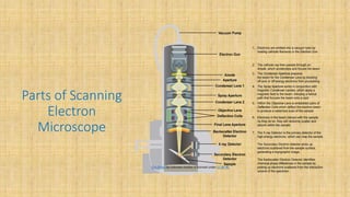 SCANNING ELECTRON MICROSCOPE.pptx