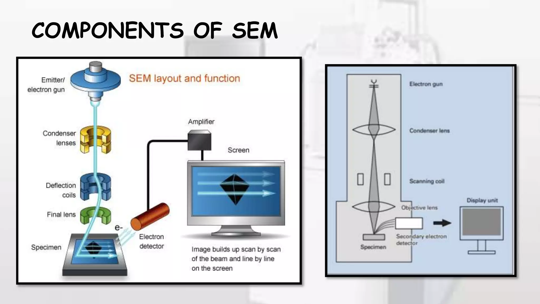 Scanning electron microscope | PPT