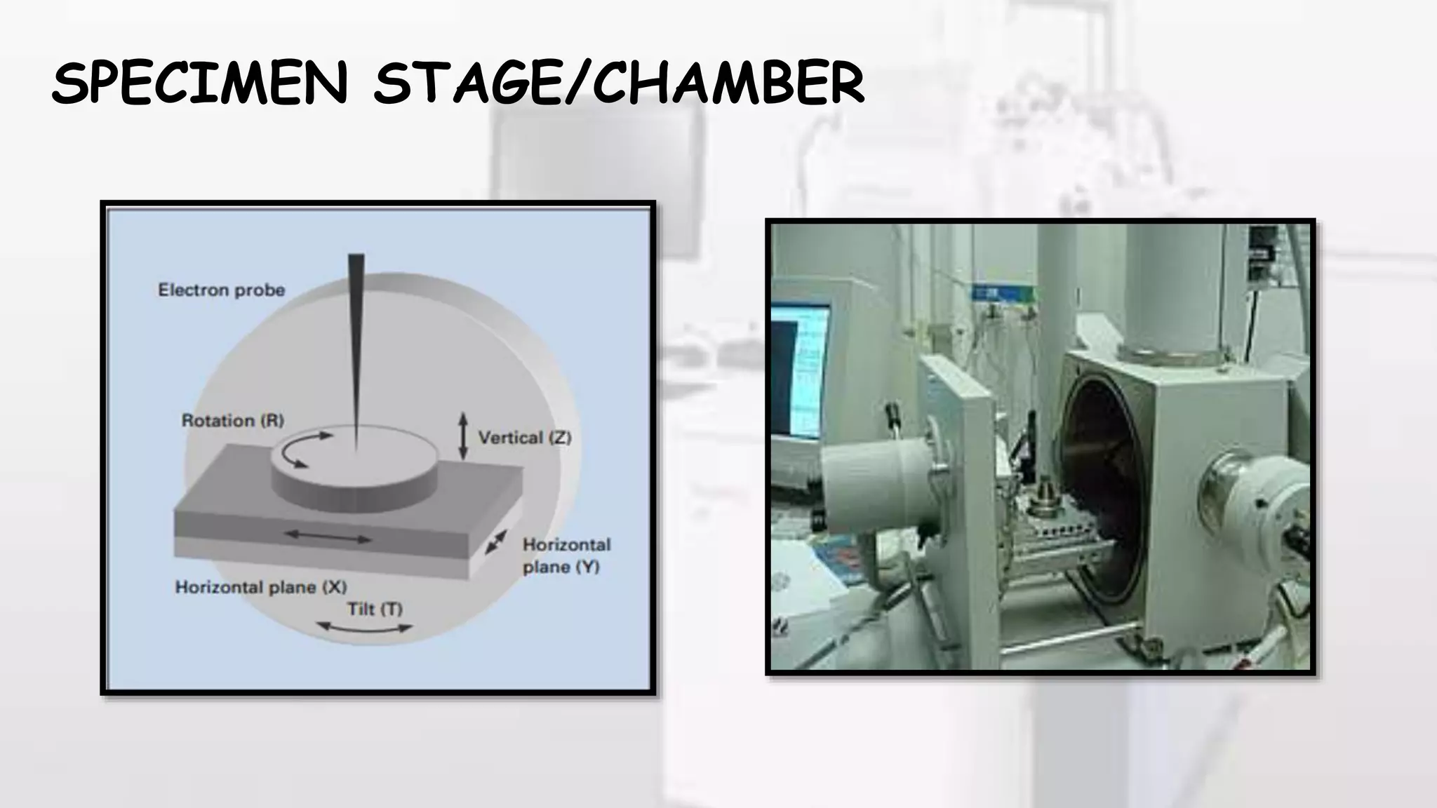Scanning electron microscope | PPT