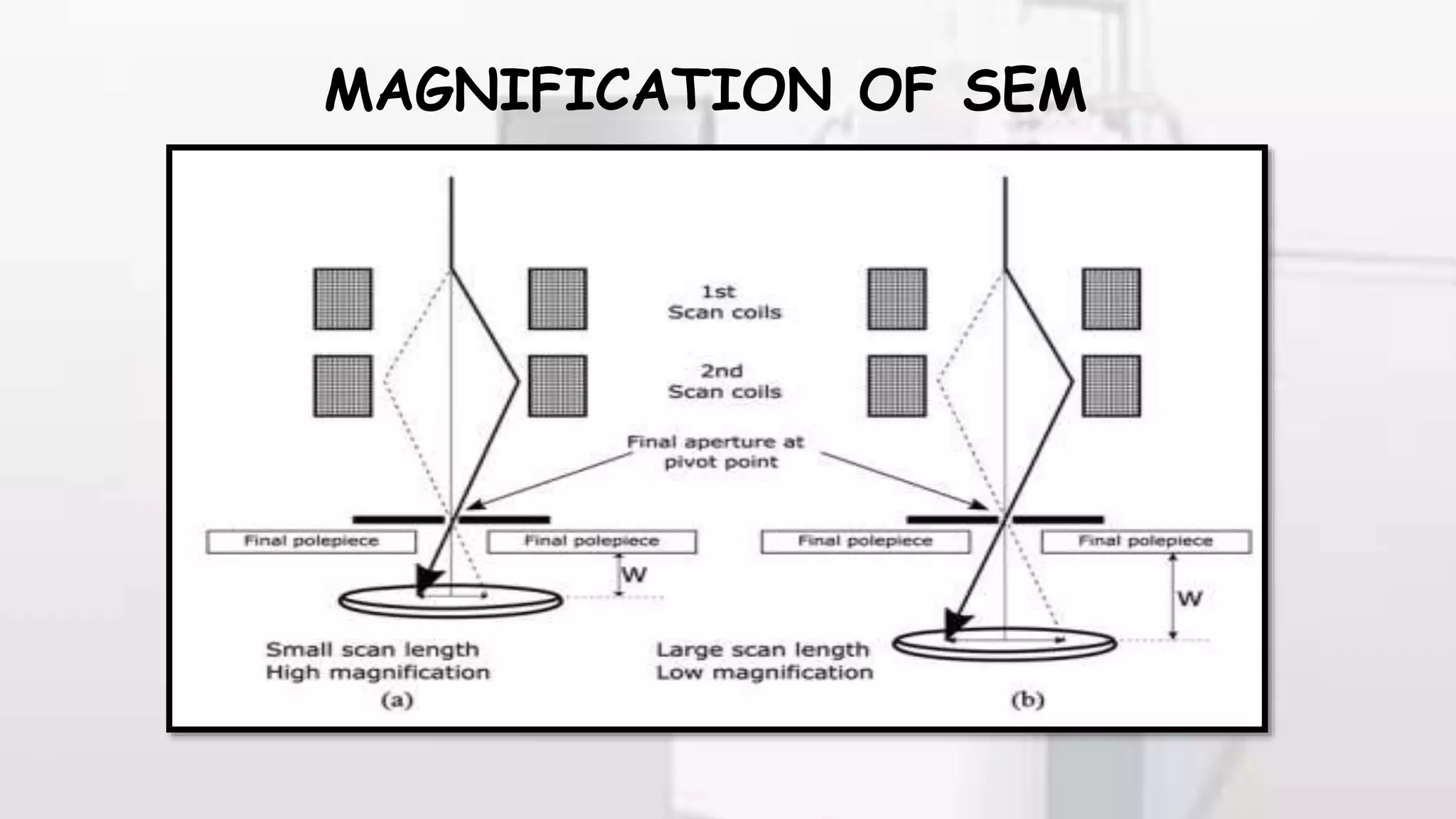 Scanning electron microscope | PPT