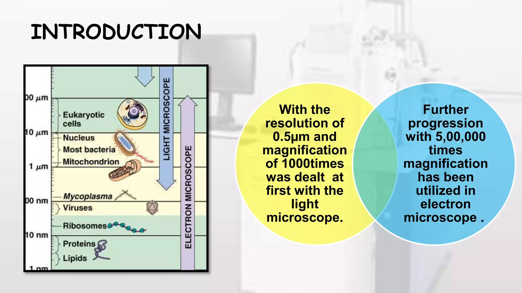 Scanning electron microscope | PPT