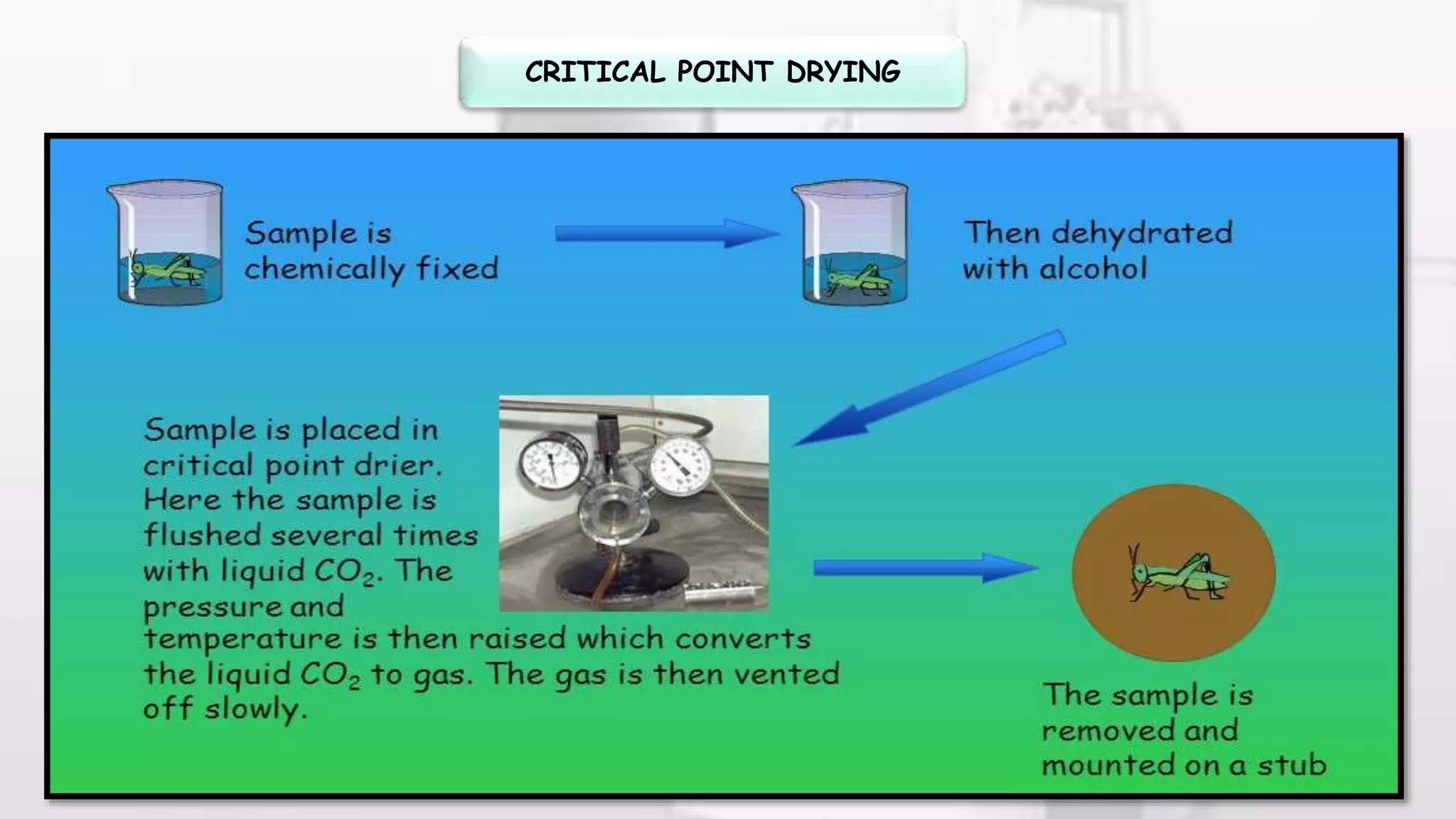 Scanning electron microscope | PPT