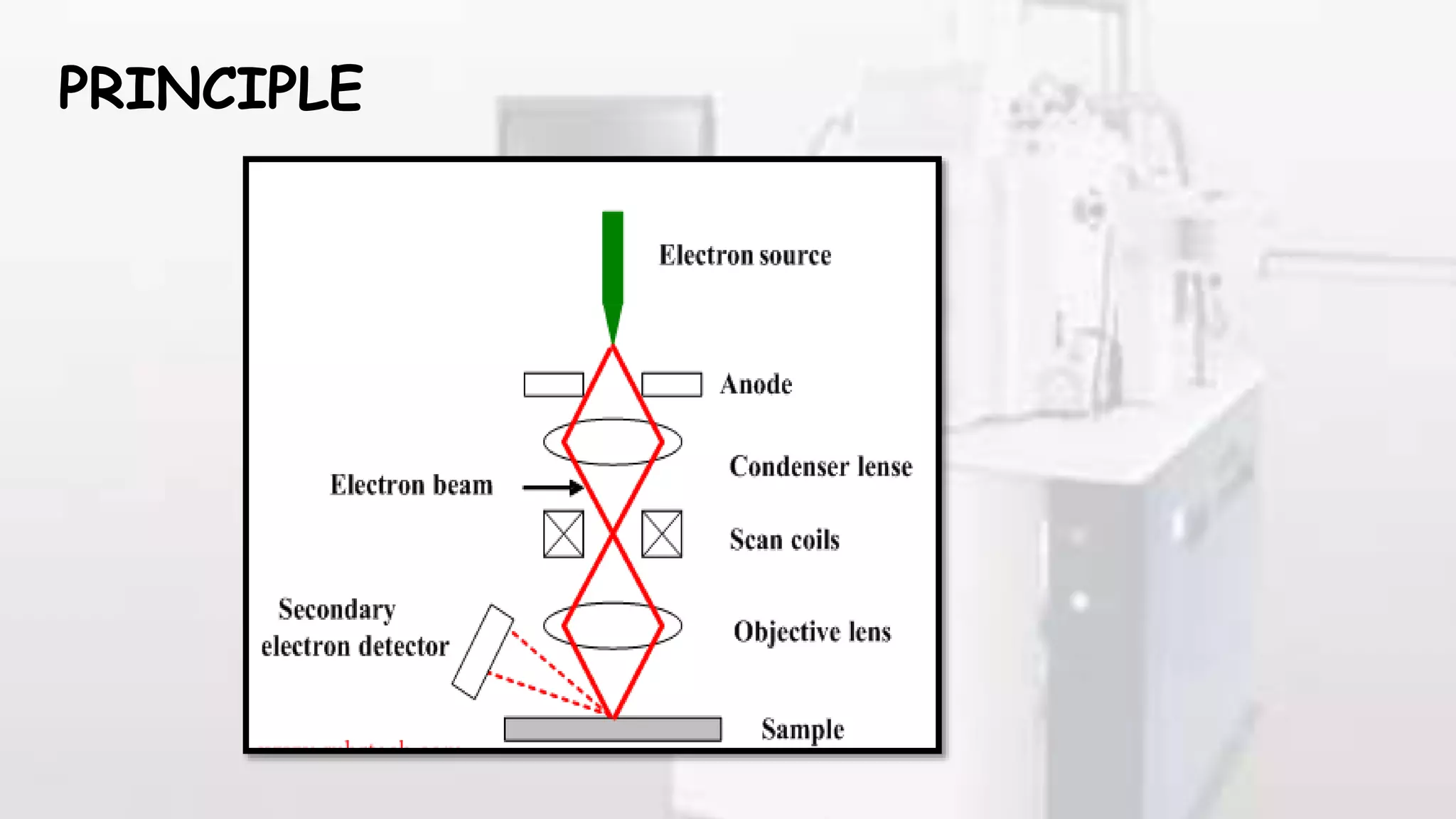 Scanning electron microscope | PPT