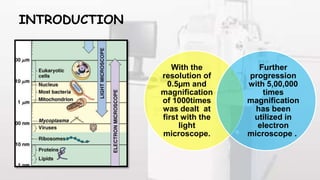 Scanning electron microscope | PPT