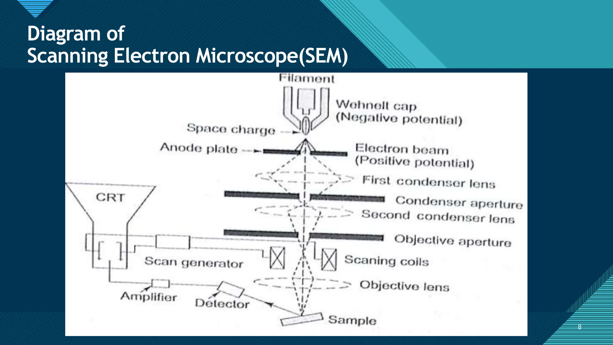 Scanning electron microscope ppt.pptx