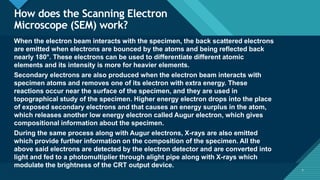 Scanning electron microscope ppt.pptx