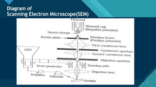 Scanning electron microscope ppt.pptx | Chemistry | Science