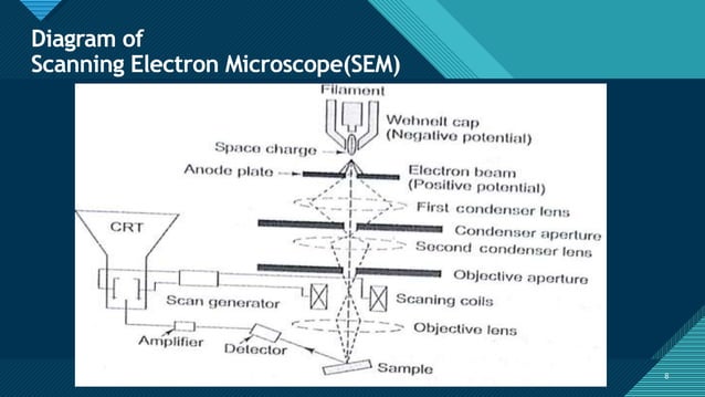 Scanning electron microscope ppt.pptx | Chemistry | Science