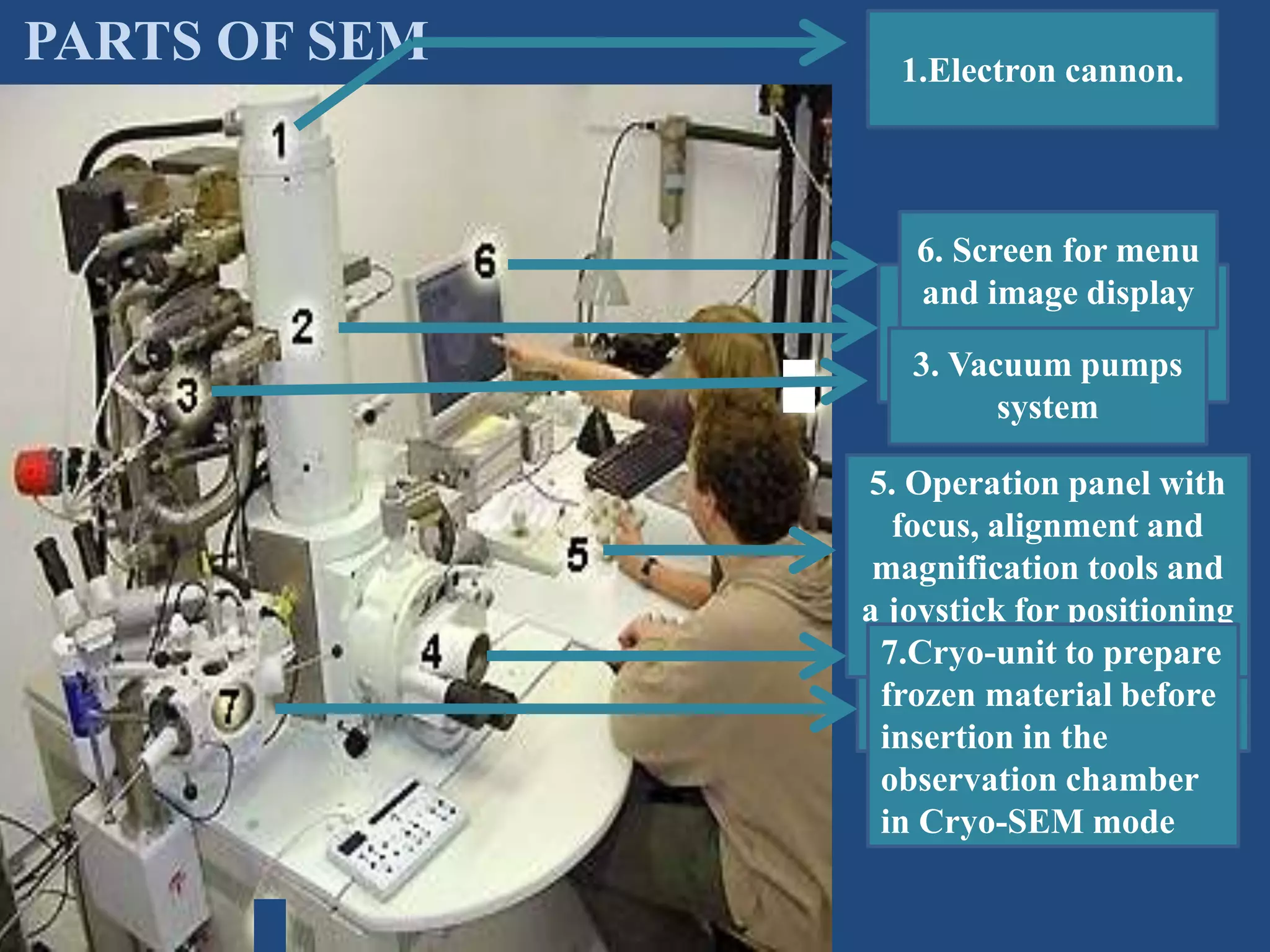 Scanning electron microscope (sem) | PPT