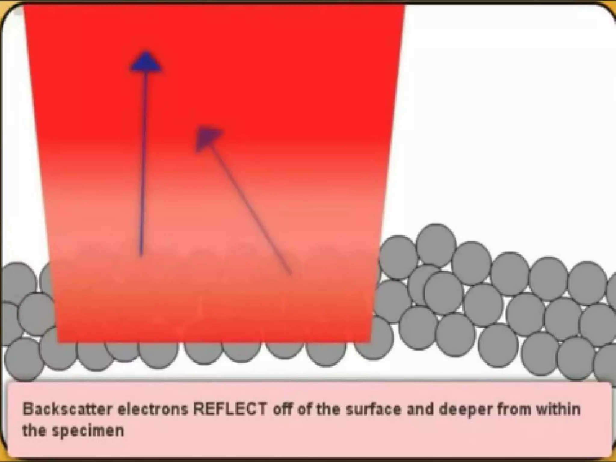Scanning Electron Microscope Sem Ppt