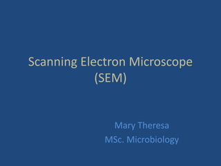 Scanning electron microscope (sem) | PPT
