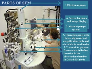 Scanning electron microscope (sem) | PPTX