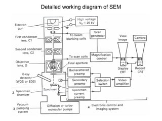 Scanning Electron Microscope (SEM).pdf op | PDF