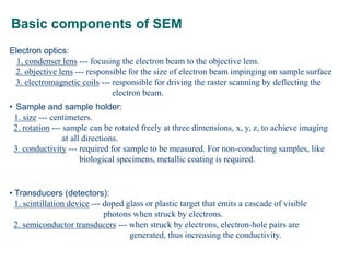 Scanning Electron Microscope (SEM).pdf op | PDF
