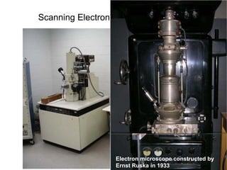 Scanning Electron Microscope (SEM).pdf op | PDF