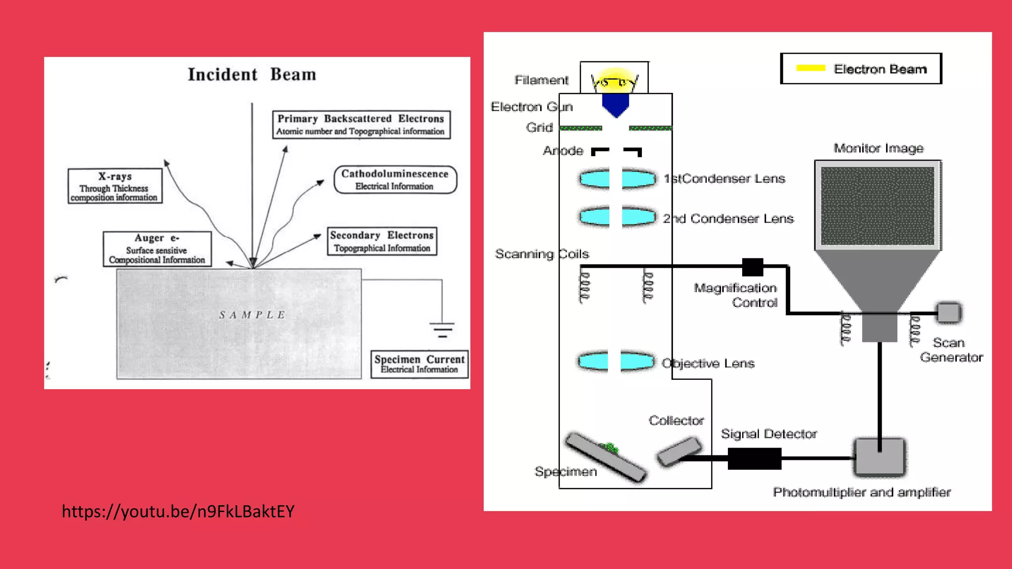 Scanning electron microscopic ndt | PPTX