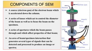 Scanning electron microscopy-SEM | PPTX