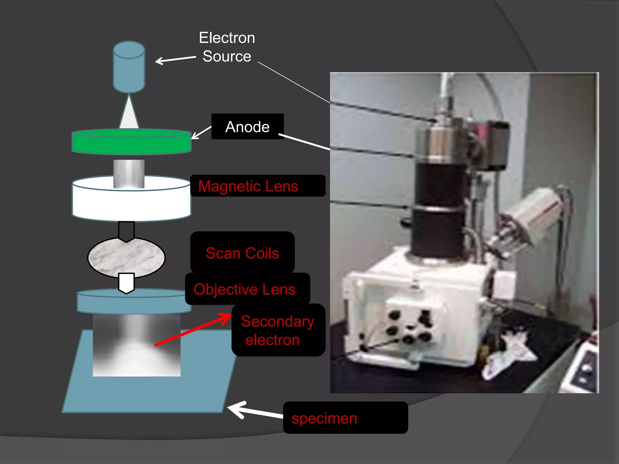 Scanning electron microscopy | PPTX