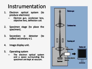 Scanning electron microscopy | PPTX