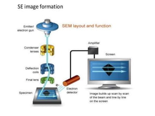 Scanning electron microscopy | PPTX