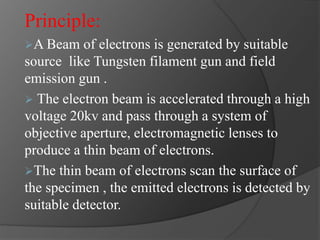 Scanning electron microscopy | PPTX | Physics | Science