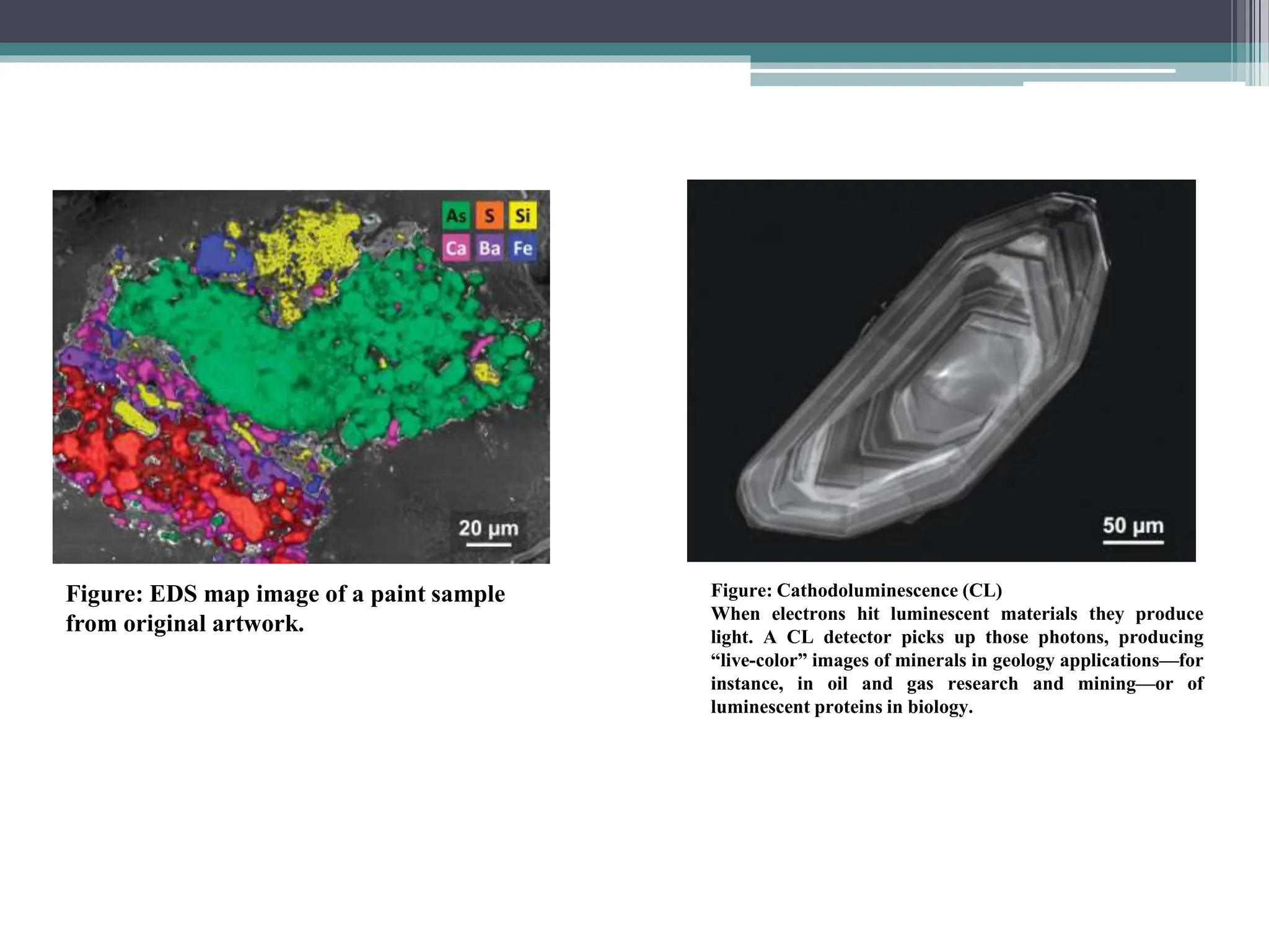 Scanning Electron Microscopy Advantages, Application and Disadvantages ...