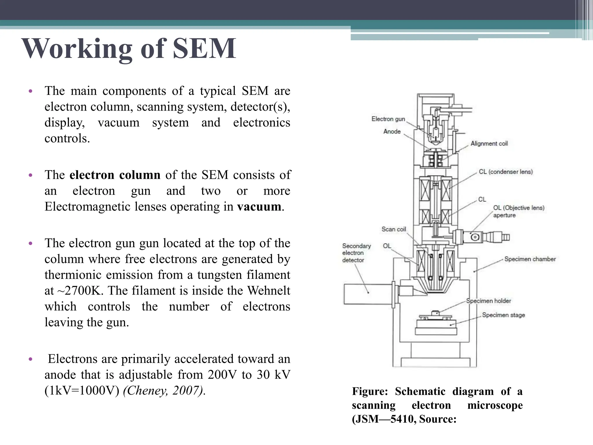 Scanning Electron Microscopy Advantages, Application and Disadvantages ...