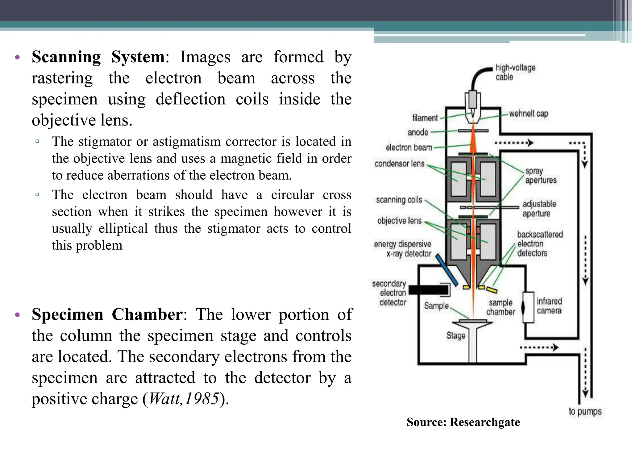 Scanning Electron Microscopy Advantages, Application and Disadvantages ...