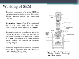 Scanning Electron Microscopy Advantages, Application and Disadvantages ...